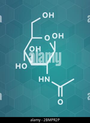 N-Acetylglucosamine (NAG) food supplement molecule Stock Photo - Alamy