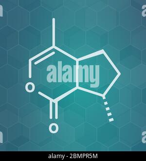 Nepetalactone catnip cat attractant molecule. Stylized skeletal formula ...