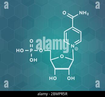 Nicotinamide mononucleotide molecule. Precursor of NAD+. Stylized ...