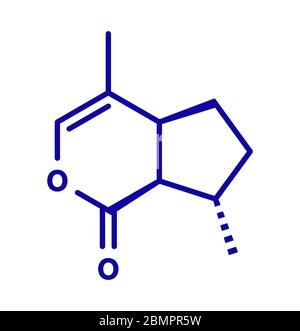 Nepetalactone catnip cat attractant molecule. Stylized skeletal formula ...