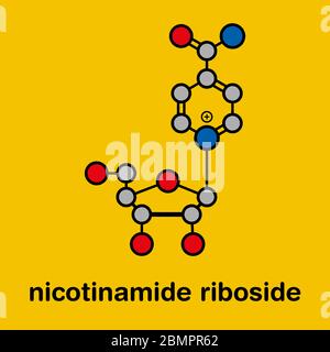 Nicotinamide riboside (NR) molecule. Precursor of nicotinamide adenine dinucleotide (NAD ...