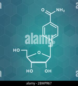 Nicotinamide mononucleotide molecule. Precursor of NAD+. Stylized ...