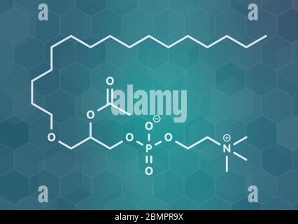 Platelet Activating Factor (PAF) signalling molecule. Skeletal formula ...