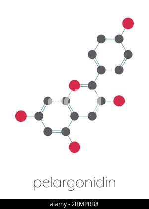 Pelargonidin pigment molecule. Stylized skeletal formula (chemical ...