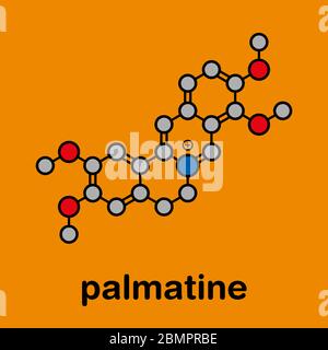 Palmatine herbal alkaloid molecule. Stylized skeletal formula (chemical ...