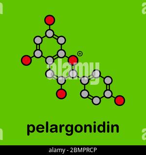 Pelargonidin pigment molecule. Skeletal formula Stock Photo - Alamy