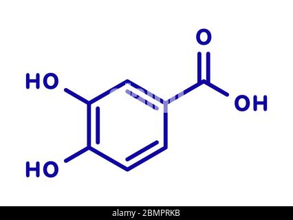 Protocatechuic acid (PCA) green tea antioxidant molecule. Stylized ...