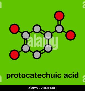 Protocatechuic acid (PCA) green tea antioxidant molecule. Stylized ...