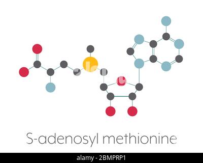L-Methionine, chemical formula and skeletal structure. Essential amino ...