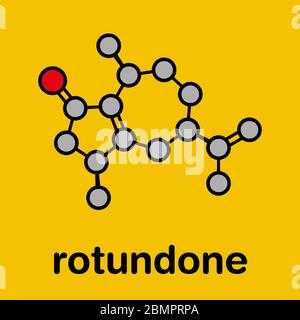 Rotundone peppery taste molecule. Stylized skeletal formula (chemical ...