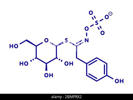 Sinalbin glucosinolate molecule. Present in seeds of white mustard ...