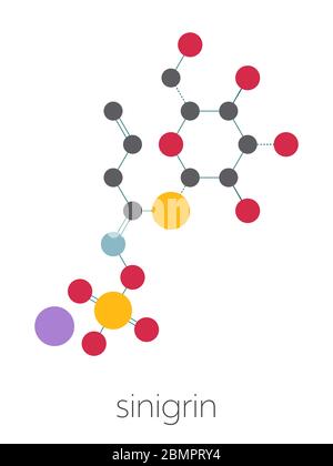 Sinigrin glucosinolate molecule. Present in some cruciferous vegetables ...