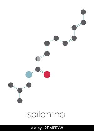 Spilanthol molecule. Local anaesthetic present in Acmella oleracea ...