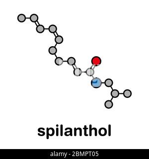 Spilanthol molecule. Local anaesthetic present in Acmella oleracea ...