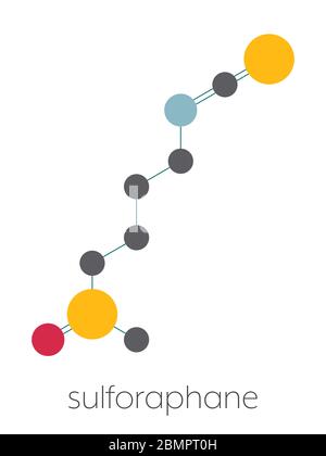 Sulforaphane cruciferous vegetable molecule. Skeletal formula Stock ...