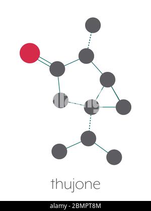 Thujone absinthe molecule, chemical structure. Skeletal formula Stock ...