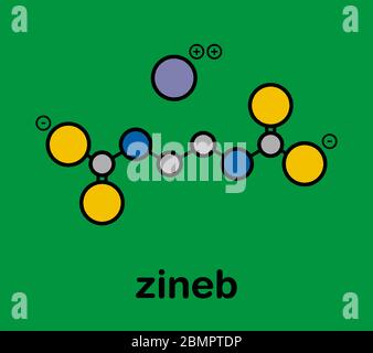 Zineb zinc organosulfur fungicide molecule. Skeletal formula Stock ...