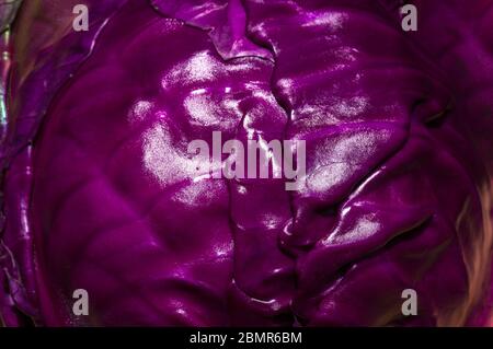 purple magenta abstract colorful organic bubbles macro pattern texture ...