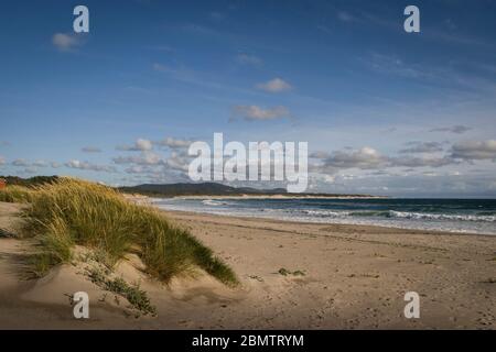 Deserted beach landscape with grassy dunes on the sand and clouds in ...