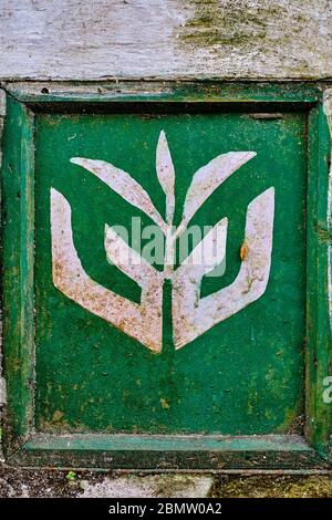 India, West Bengal, Darjeeling, Castleton tea estate, tea picker ...