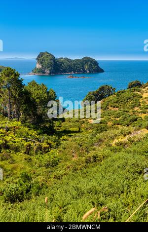 View of Gemstone Bay while walking to Cathedral Cove in New Zealand ...
