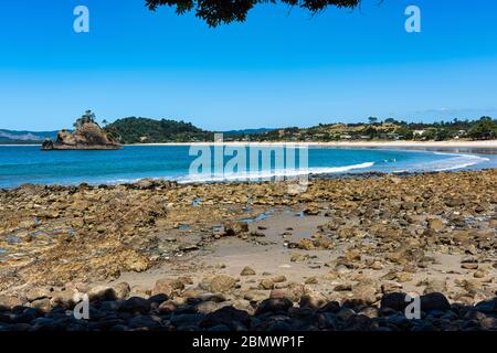 Whangapoua Beach on the Coromandel Peninsula in New Zealand Stock Photo ...