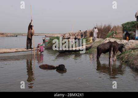 A Marsh Arab boatman steers his mashoof (traditional boat) across a ...