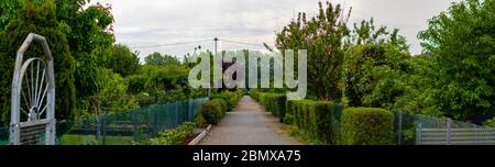 Traditional German garden allotment with a small bungalow and organic ...