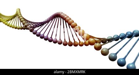 DNA multi color isolated on white background. 3d illustration Stock ...