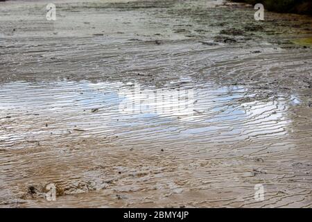 Primrose Terrace, Wai-O-Tapu, Reporoa caldera, in New Zealand's Taupo ...