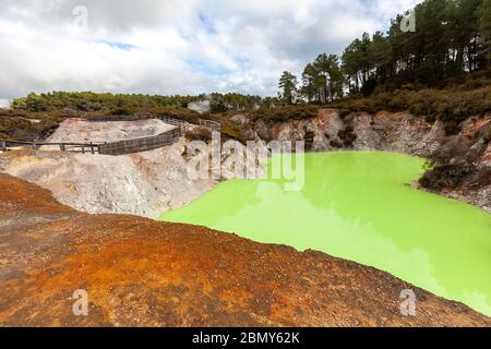 Water pond made yellow by sulphur, Wai-O-Tapu, Reporoa caldera, in New ...