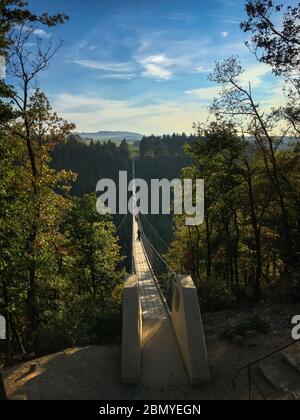 The geierlay suspension bridge Stock Photo - Alamy