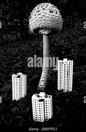 Nuclear post apocalypse Stock Photo - Alamy