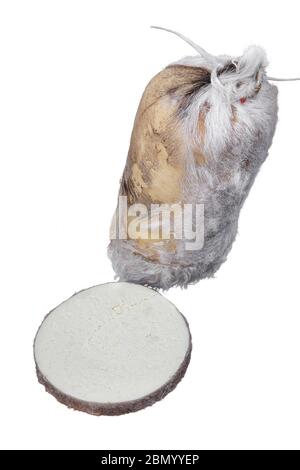 Tulum cheese is a traditional Turkish goat's milk cheese ripened in a ...