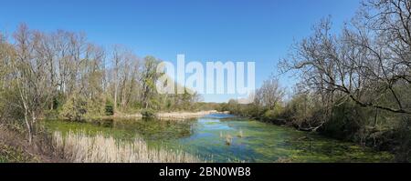idyllic lake in the Kreuzhorst nature reserve near Magdeburg in Germany ...