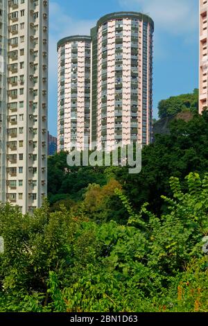 Lai Tak Tsuen Building, Causeway Bay, Hong Kong Stock Photo - Alamy