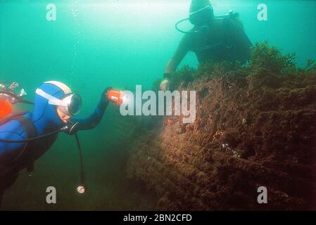 Campi Flegrei, Pozzuoli, spring 1980, underwater surveys on the ...