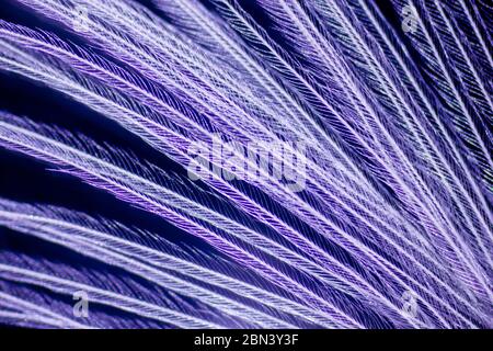 bird feather under the microscope Stock Photo - Alamy