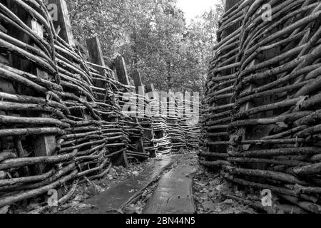 The World War One German 'Bayernwald' trench system near Ypres in ...