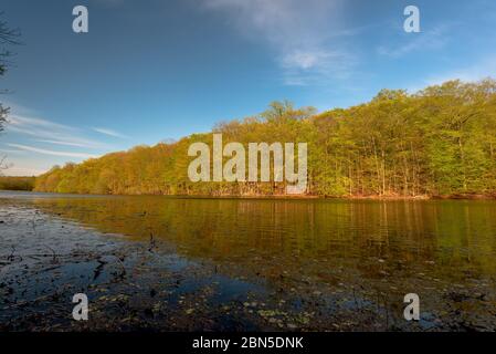 Early signs of spring in Rockefeller State Park Preserve, New York, USA ...