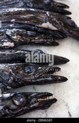 Fresh espada fish on traditional fish market in Funchal at Madeira ...