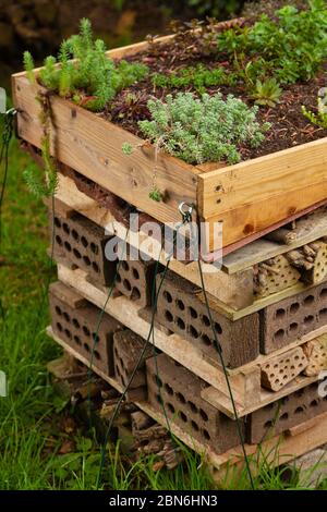 Insect box Bug house Stock Photo - Alamy