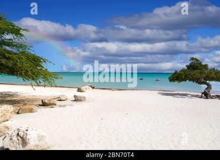 Aruba idyllic caribbean beach at sunny day with rustic palapa, Dutch ...