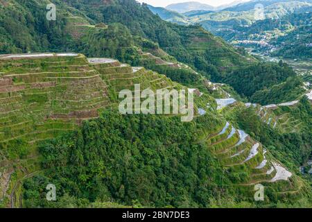 Overview of the Banaue rice terrace at hungduan rice terraces - ifugao ...
