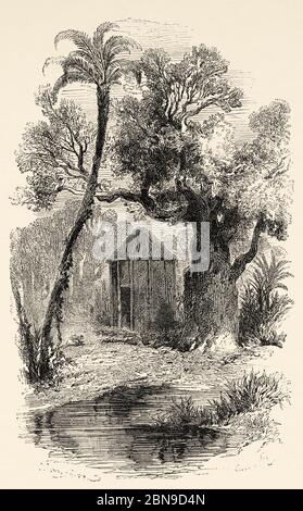 Pre-animist religion worshiping snakes. The temple of snakes at Dahomey ...