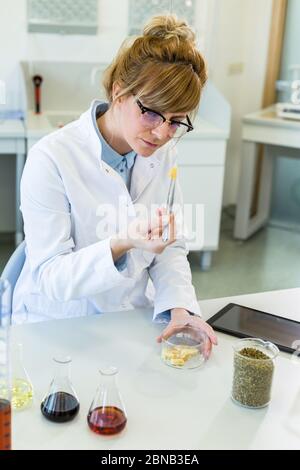 Hands with latex gloves inspecting hemp cbd terpsolate with tweezers ...