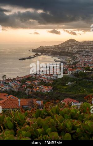 Funchal, Madeira. View from an elevated point of view over the houses ...