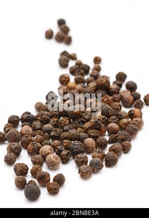 pile of dried black peppercorns, dry black pepper fruits or drupes ...