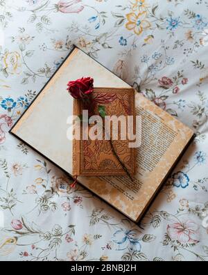 Beautiful old books on a red wooden table. Green wall background Stock ...