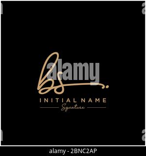 BS Letter Signature Logo Template elegant design logo. Hand drawn ...